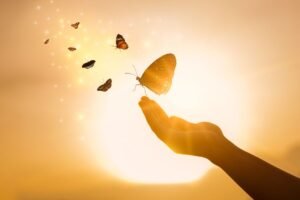 Spirituele betekenis vlinder: symbool van transformatie en levensvreugde