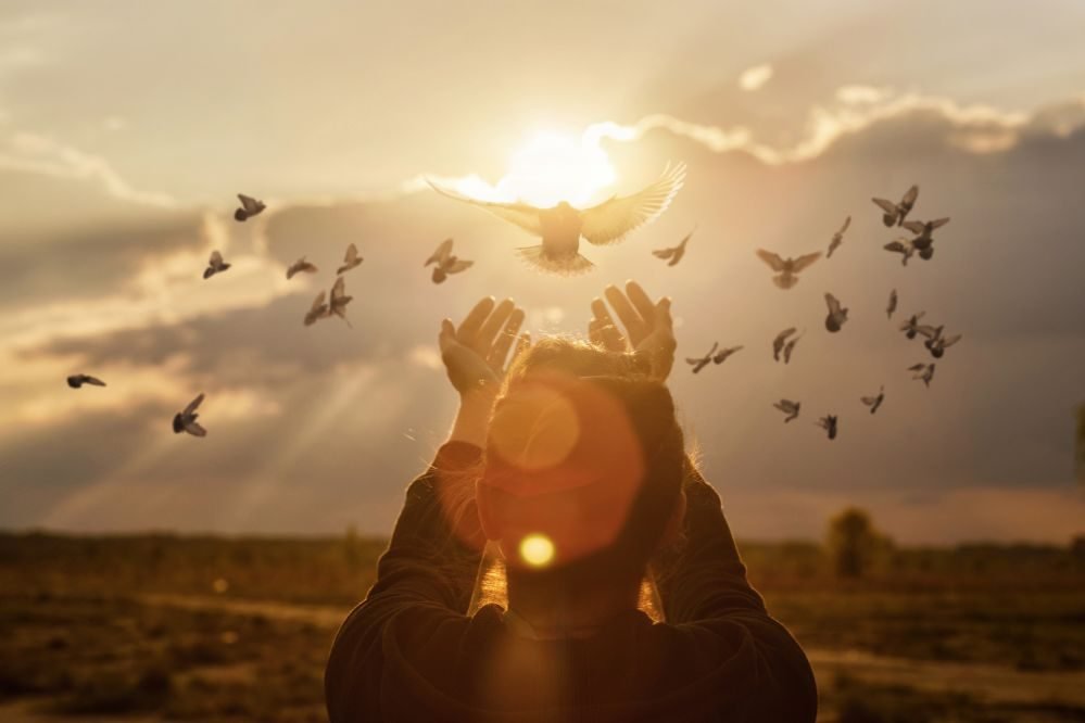 Spirituele betekenis krachtdier duif: innerlijke vrede en harmonie